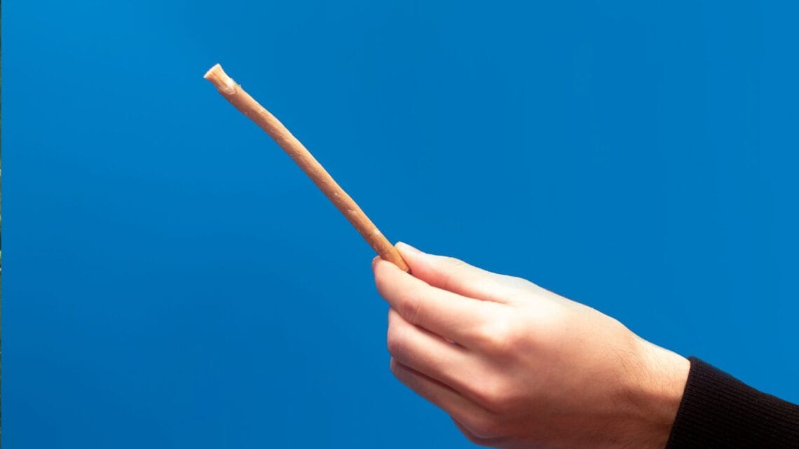 Sunnah Kayu Sugi: Kelebihan dan Cara Menggunakannya | Jiwa Islam